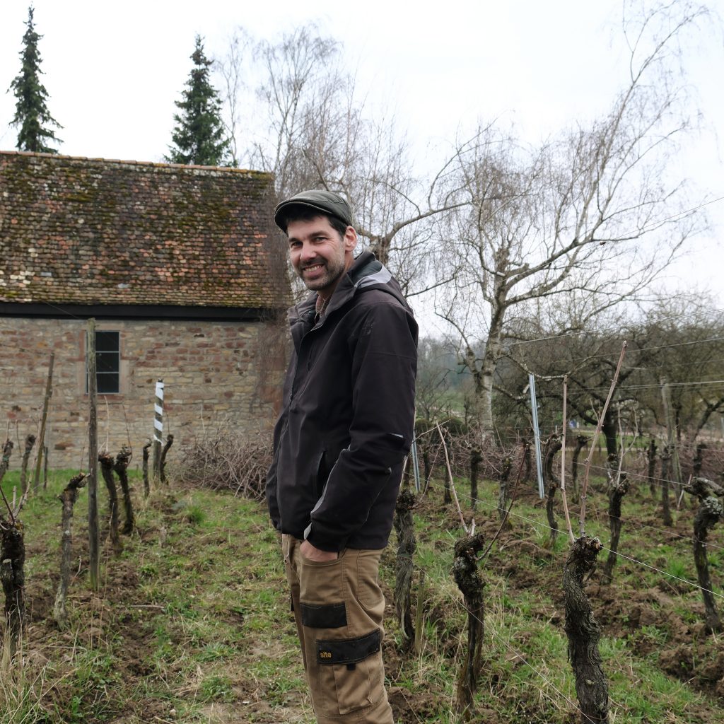 Brand & Fils, un domaine dédié au vin nature - poly.fr